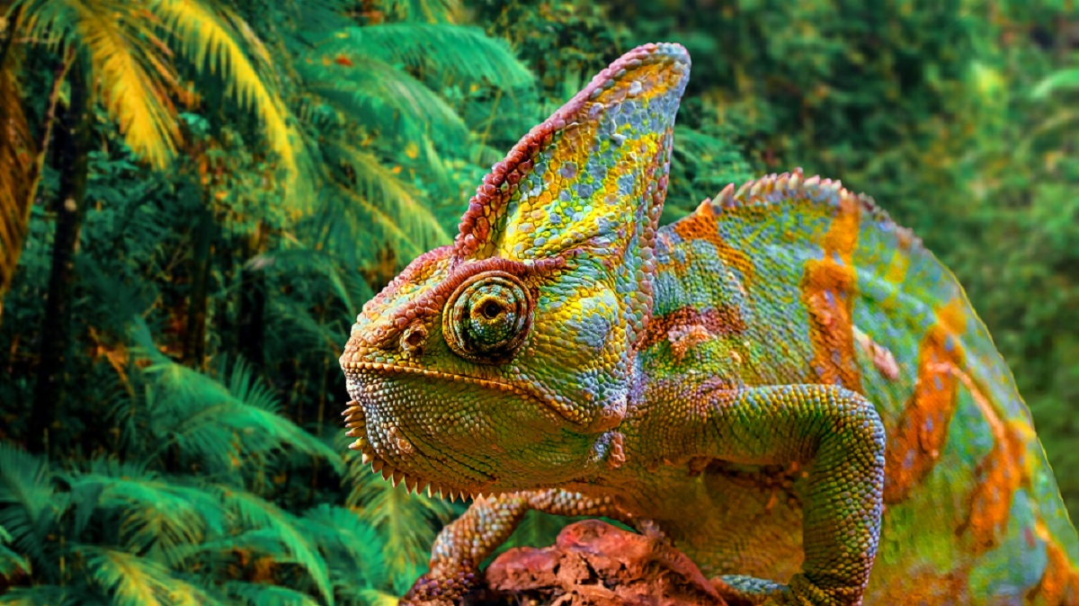 Gruppo Madagascar Easy Style - Partenza del 2024-08-20 | Vagabondo